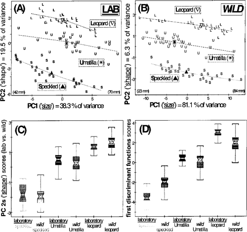 Figure 7 from The evolution through natural hybridizations of the ...