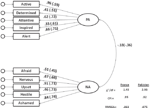 Table 1 from International Positive and Negative Affect Schedule Short ...