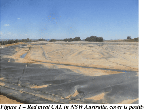 Table 1 from Application of Covered Anaerobic Lagoons for pre ...
