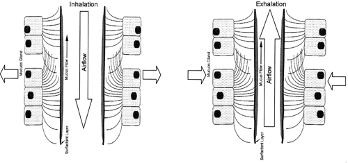 Table 4 from Forced expiratory technique, directed cough, and autogenic ...