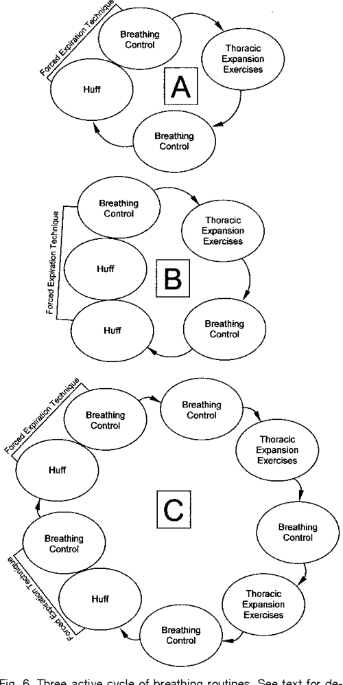 Table 4 from Forced expiratory technique, directed cough, and autogenic ...