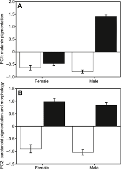 Figure 1 from Testosterone activates sexual dimorphism including male ...