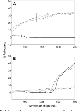 Figure 1 from Testosterone activates sexual dimorphism including male ...
