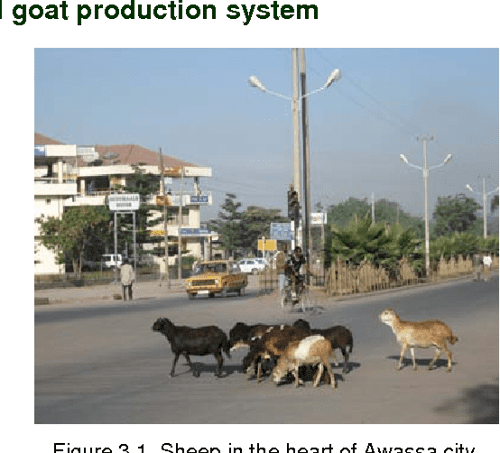 PDF Sheep And Goat Production Systems In Ethiopia Semantic Scholar pdf-sheep-and-goat-production-systems-in-ethiopia-semantic-scholar