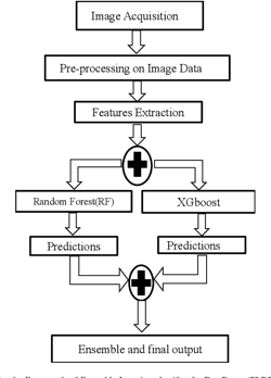 Dry Beans Classification using Ensemble Learning | Semantic Scholar