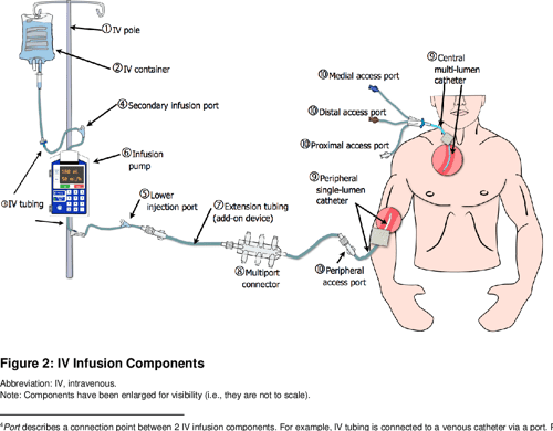 Figure 19 from Multiple Intravenous Infusions Phase 2b: Laboratory ...