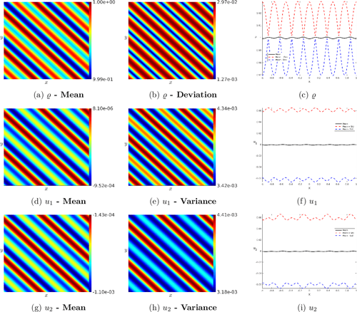[PDF] Convergence and error analysis of compressible fluid flows with ...