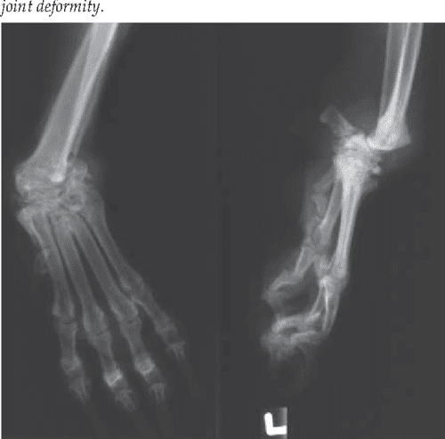 [PDF] Canine immune-mediated polyarthritis | Semantic Scholar