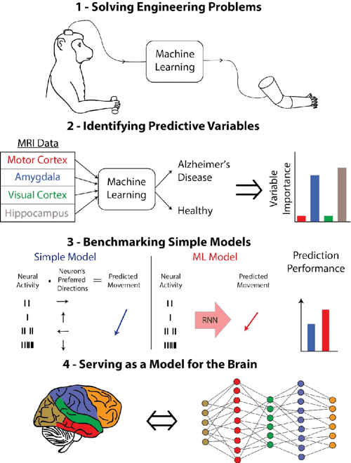 Figure 2 from The roles of supervised machine learning in systems ...