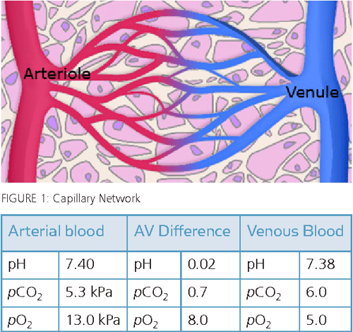 Table 1 from Capillary blood gases-to arterialize or not July 2008 | Semantic Scholar