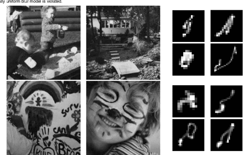 [pdf] Understanding Blind Deconvolution Algorithms Semantic Scholar