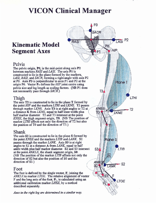 Figure 1.1 from Severe crouch gait in the sagittal gait patterns of ...