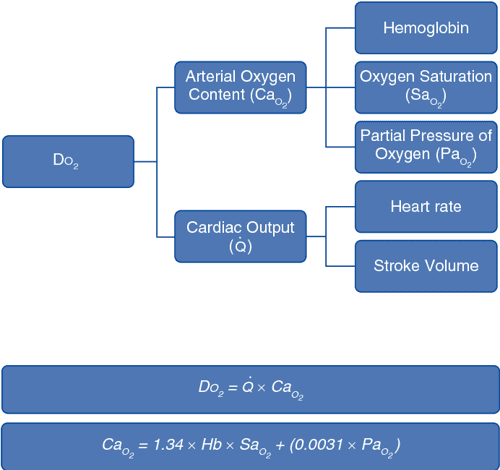 Figure 2 from Oxygen Delivery in Septic Shock. | Semantic Scholar