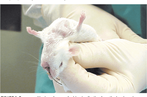 [PDF] Methods of Blood Collection in the Mouse | Semantic Scholar