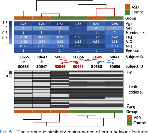 Figure 2 From Functional Brain Network Classification Based On Deep Graph Hashing Learning