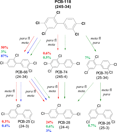 Figure 1 from A comparative evaluation of anaerobic dechlorination of ...