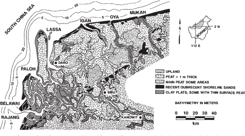 Table 1 from Late Quaternary Sedimentation and Peat Development in the ...