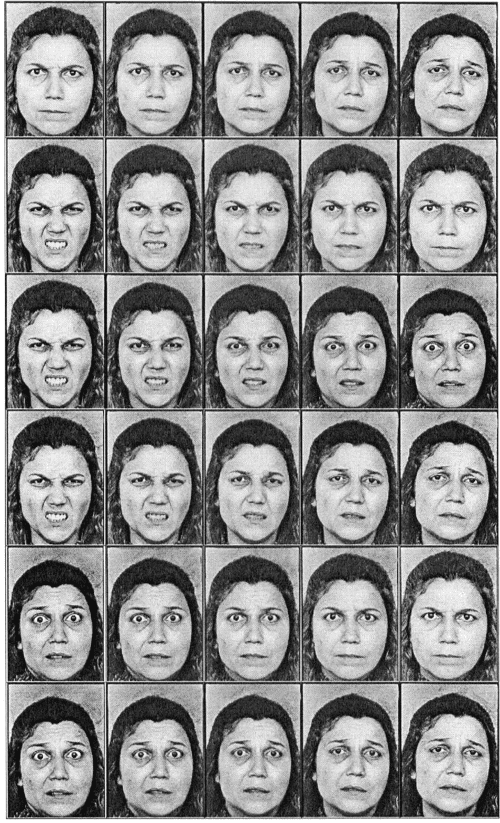 Recognition of facial expressions in obsessive-compulsive disorder ...