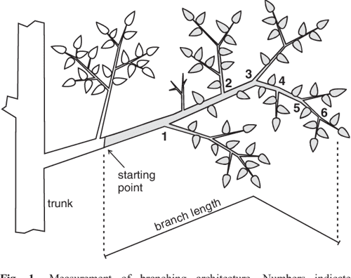 [PDF] New handbook for standardised measurement of plant functional ...