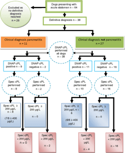 Table 4.1 from Evaluation of the SNAP CPL and Spec CPL canine ...