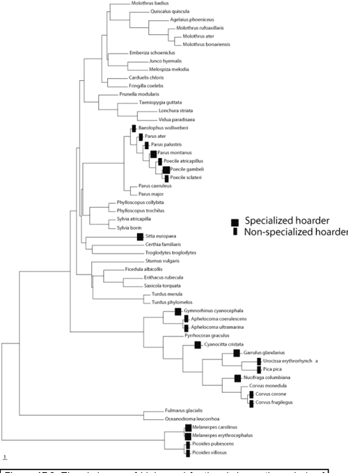 Figure 17.19 from Non-associative learning: Habituation and ...