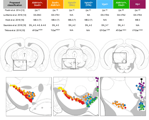 Figure 1 from Classification of Midbrain Dopamine Neurons Using Single ...