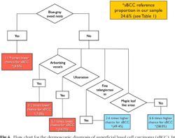 Accuracy of dermoscopic criteria for discriminating superficial from ...