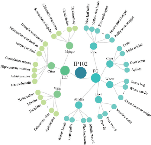 [pdf] Ip102 A Large Scale Benchmark Dataset For Insect Pest Recognition Semantic Scholar