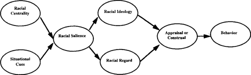 [PDF] Multidimensional Model of Racial Identity: A Reconceptualization ...