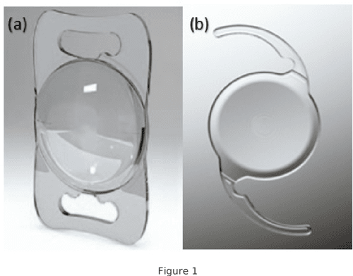 Figure 1 from Comparison of Visual Performance between Refractive and ...