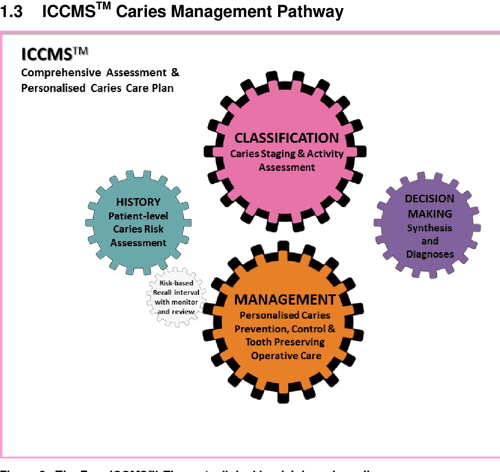[PDF] ICCMS™ Guide for Practitioners and Educators | Semantic Scholar