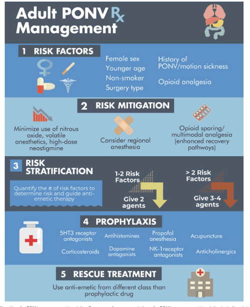 [PDF] Fourth Consensus Guidelines for the Management of Postoperative ...