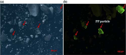 [PDF] Identification and quantification of microplastics using Nile Red ...