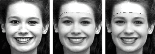 Figure 3 from Differentiating Duchenne from Non-Duchenne Smiles Using ...