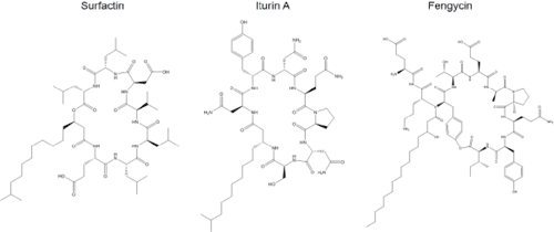 Figure 2 from High-performance thin-layer chromatography (HPTLC) for ...