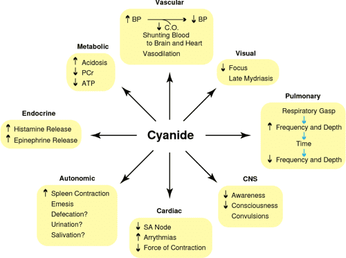 [PDF] Chapter 10 Cyanide Poisoning Introduction History and Use ...