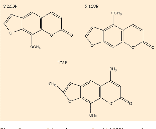 Figure 1 from Chapter 6 Mechanisms of Phototoxic and Photoallergic ...
