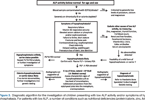 Figure 3 from A Diagnostic Algorithm for Children with Low Alkaline ...