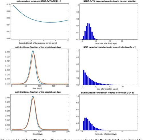 The discrete-time Kermack–McKendrick model: A versatile and ...