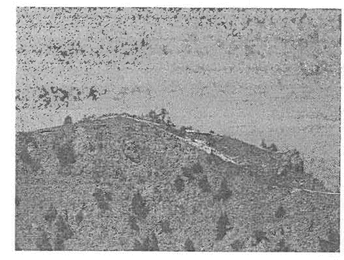 Figure 4 from Pitfalls of Technology: A Case Study of the Battle on ...