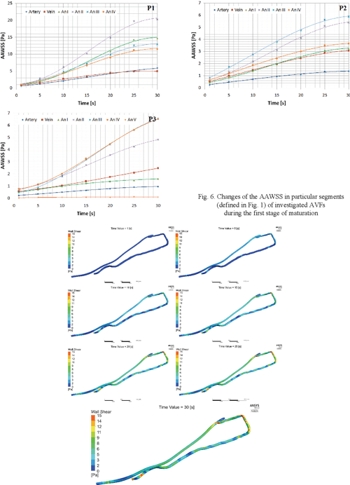 Figure 4 from A two-stage model of an arteriovenous fistula maturation ...