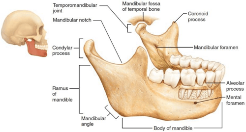 Figure 1 from Design and optimisation of an additively manufactured ...