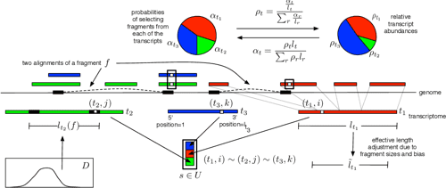 Table 1 from Models for transcript quantification from RNA-Seq | Semantic Scholar