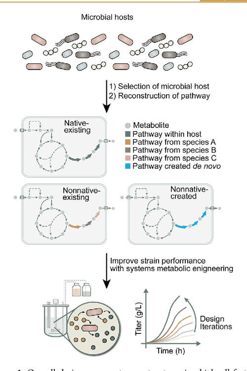 Figure 1 from Designing Microbial Cell Factories for the Production of ...