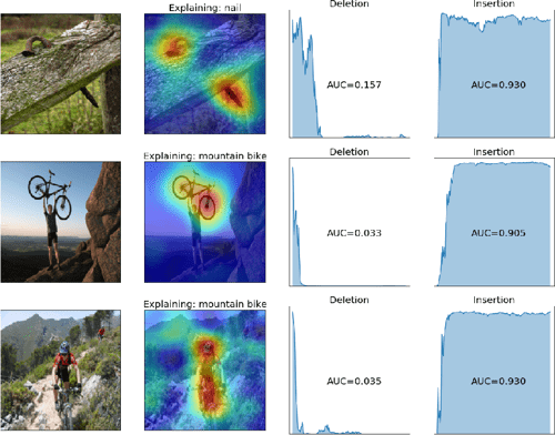 [PDF] RISE: Randomized Input Sampling for Explanation of Black-box Models | Semantic Scholar