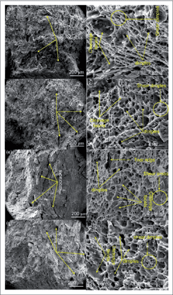 Figure 16 from Evolution of phases during tempering of P91 steel at 760 ...