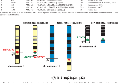 [PDF] A New Complex Translocation t ( 8 ; 11 ; 21 ) ( q 22 ; q 24 ; q ...