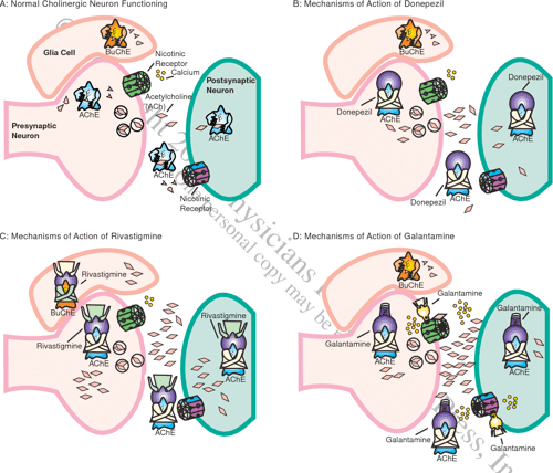 The new cholinesterase inhibitors for Alzheimer's disease, Part 2 ...