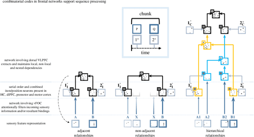 Figure 1 from Structured sequence processing and combinatorial binding: neurobiologically and ...