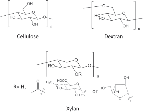 Functionalization of dextran, xylan and nanofibrillated cellulose using ...